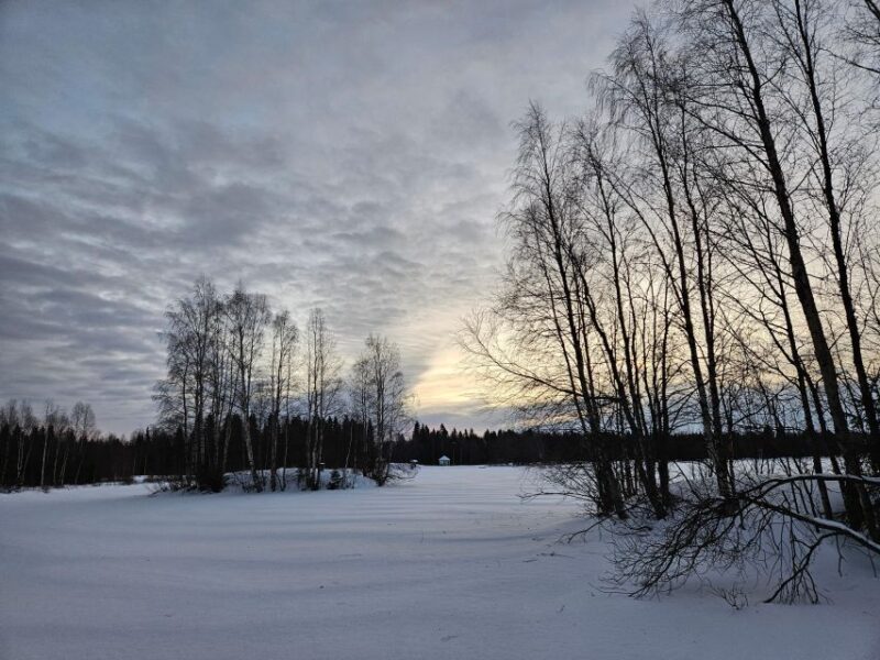 Kemi: Finnish Sight-Skiing Experience in Lapland - What You Can Expect from the Tour