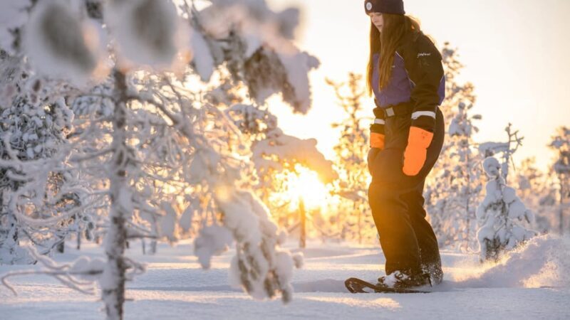 Kemi-Tornio: Nature tour with snowshoes - An In-Depth Look at the Snowshoe Experience