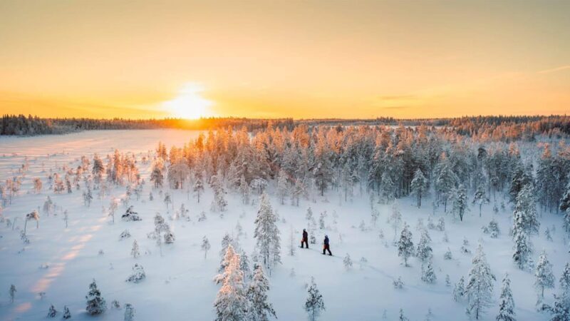 Kemi-Tornio: Nature tour with snowshoes - What Our Reviewers Say