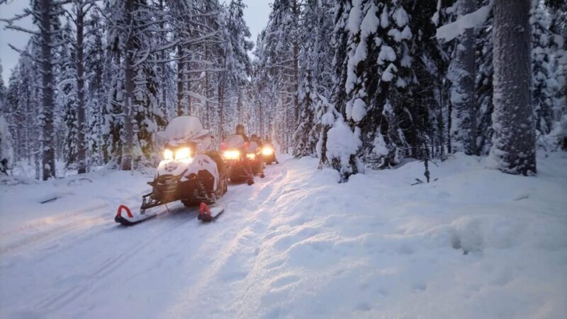 Kemi-Tornio: Snowmobile Forest Safari w/ Hot Drink & Snacks - Starting Out: Gathering and Gear Up