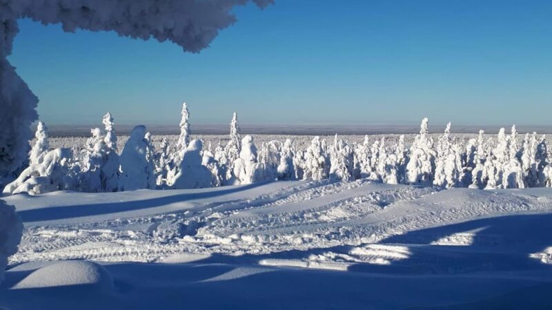 Kemi-Tornio: Snowmobile Forest Safari w/ Hot Drink & Snacks - What About Safety and Comfort?
