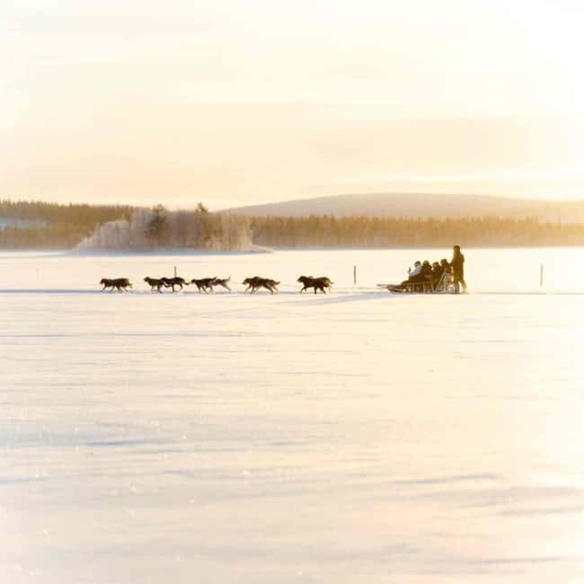 Kemijärvi: Insider Husky Self-Drive 5km Safari - Accessibility and Practical Tips