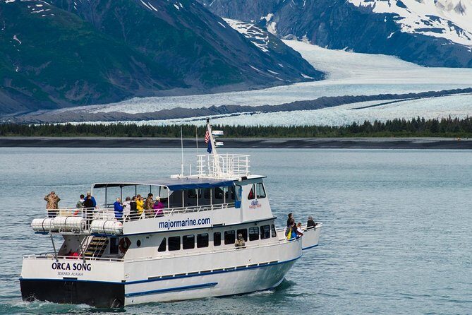 Kenai Fjords and Resurrection Bay Half-Day Wildlife Cruise - Analyzing the Cost and Value
