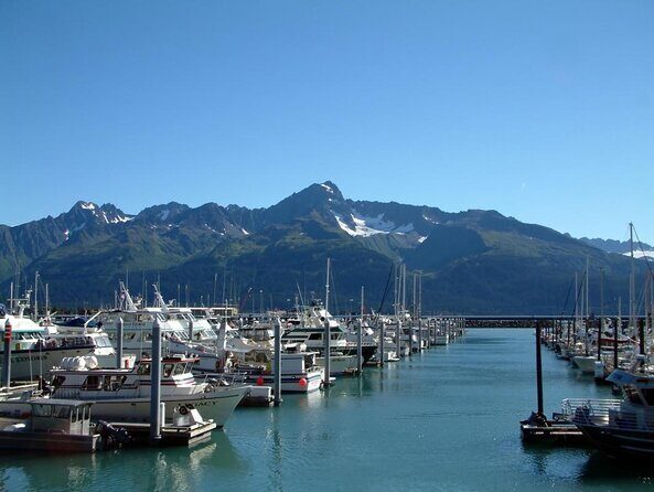 Kenai Fjords and Resurrection Bay Half-Day Wildlife Cruise - The Sum Up: Who Will Love This Tour?