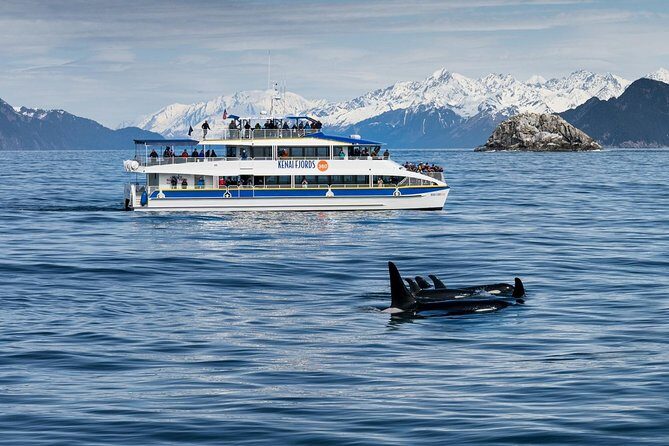 Kenai Fjords National Park Glacier & Wildlife Cruise - The Value of the Experience