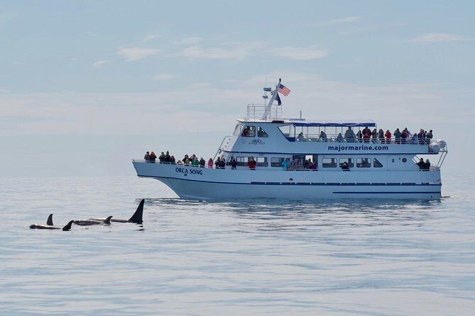 Kenai Fjords Orca Quest Cruise - Who Will Love This Tour?
