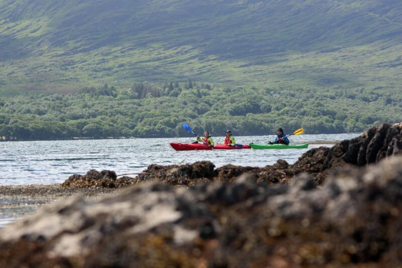 Kenmare Bay: Guided Kayaking Tour - No Wetsuits Required. - The Sum Up