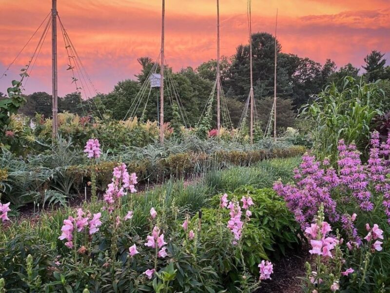Kennett Square: Longwood Gardens Admission Ticket - Key Points