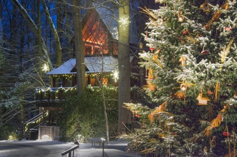 Kennett Square: Longwood Gardens Admission Ticket - What to Expect from Your Visit