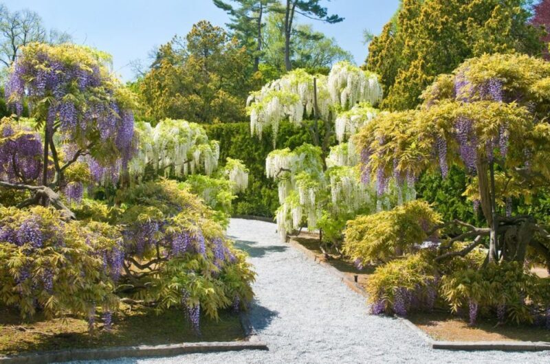 Kennett Square: Longwood Gardens Admission Ticket - FAQs