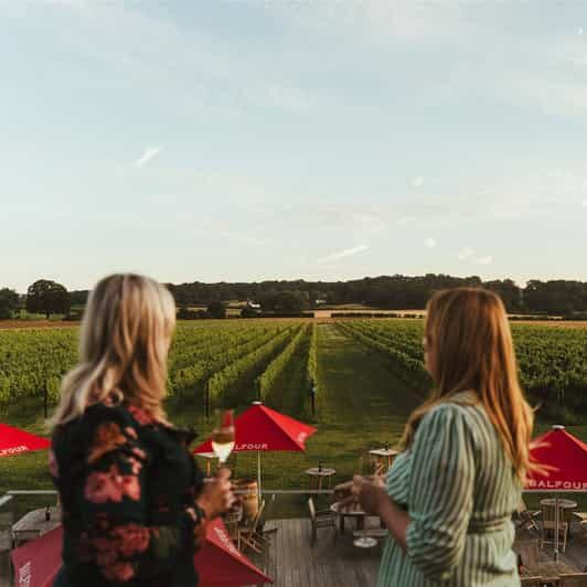 Kent: Balfour Vineyard Walk and Wine Tasting - Key Points