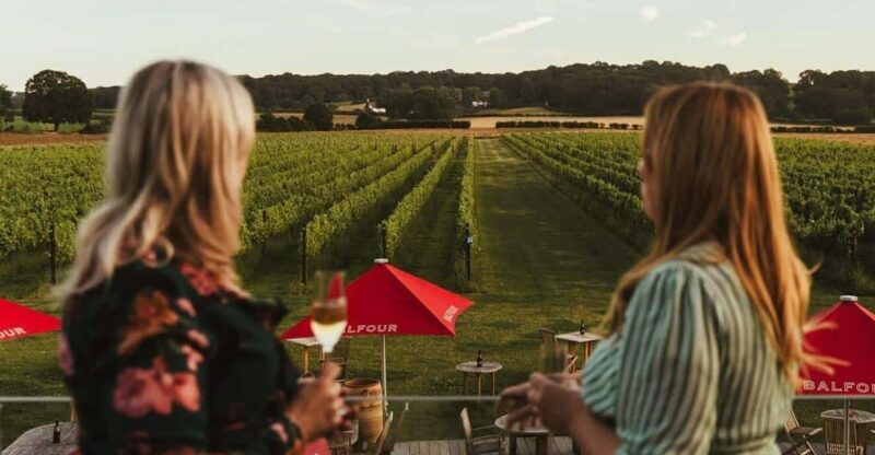 Kent: Balfour Vineyard Walk and Wine Tasting - Logistics and Practical Tips