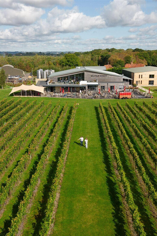 Kent: Balfour Vineyard Walk and Wine Tasting - Who Would Enjoy This?
