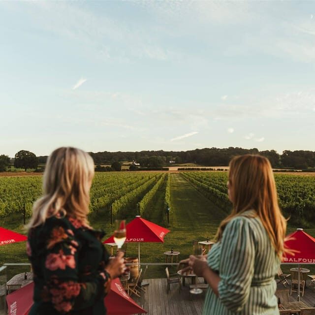 Kent: Balfour Vineyard Walk and Wine Tasting - The Sum Up