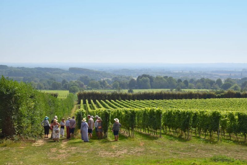 Kent: Yotes Court Vineyard Tour and Tasting - Kent: Yotes Court Vineyard Tour and Tasting — A Detailed Review