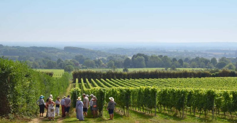 Kent: Yotes Court Vineyard Tour and Tasting - Key Points