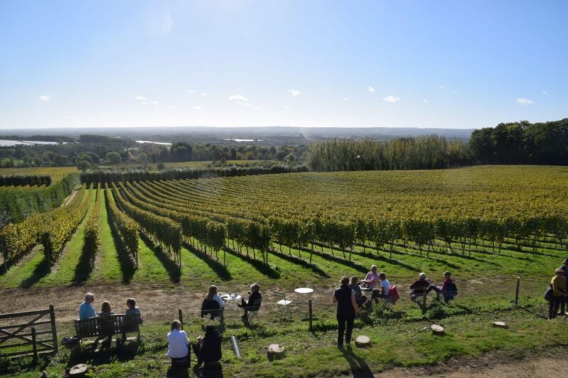 Kent: Yotes Court Vineyard Tour and Tasting - The Itinerary: What to Expect