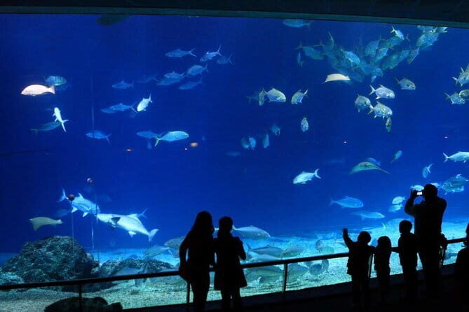 Kenting Aquarium Admission Ticket in Taiwan - Final Thoughts