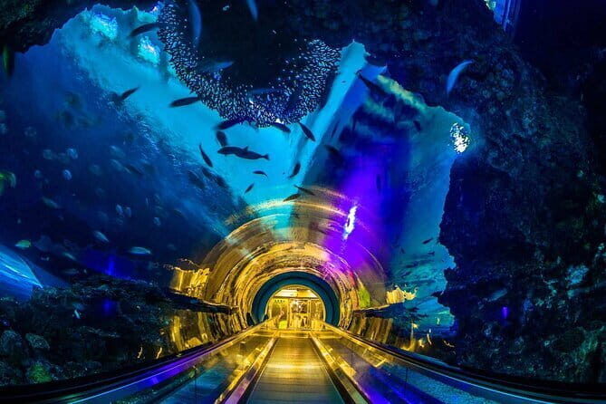 Kenting Aquarium Admission Ticket in Taiwan - Frequently Asked Questions