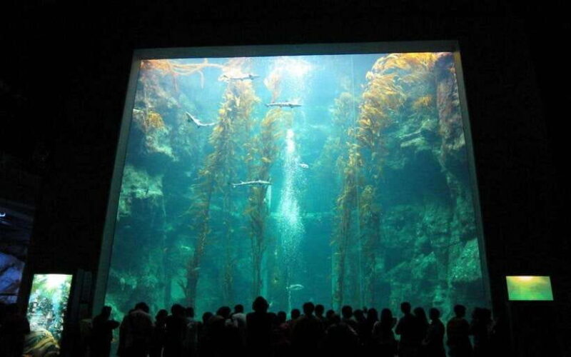 Kenting: National Museum of Marine Biology & Aquarium - An Introduction to the Marine Museum Experience