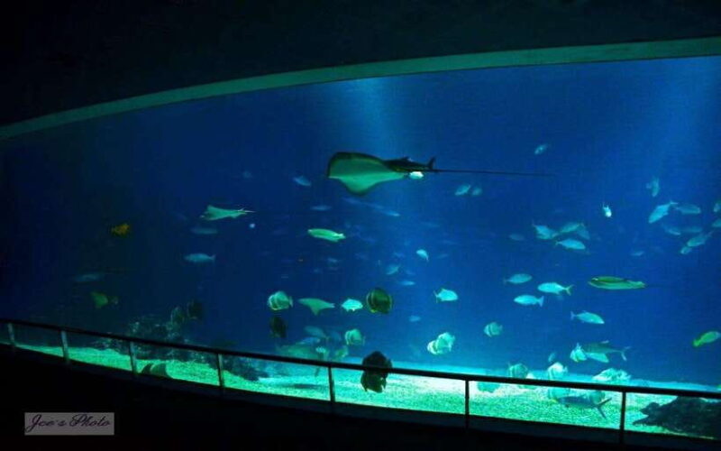 Kenting: National Museum of Marine Biology & Aquarium - The Value for Your Money
