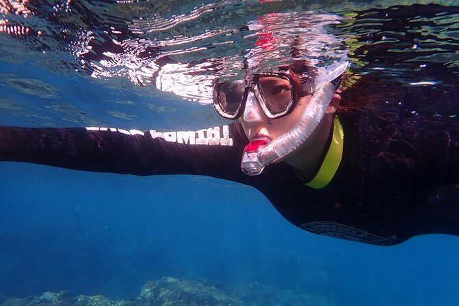 Kenting, TaiwanSnorkeling Free underwater photography One-on-one with instructorTaiwan Diving Snorkeling - Exploring the Details of the Kenting Snorkeling Tour