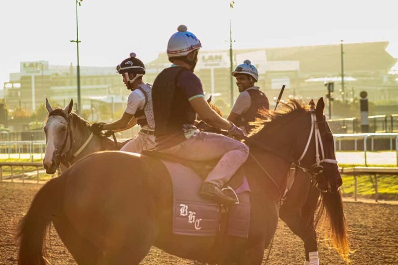 Kentucky Derby Museum - Admission with Guided Track Visit - The Experience in Practice