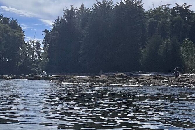 Keogh River Bear Kayaking Tour - An In-Depth Look at the Keogh River Bear Kayaking Tour