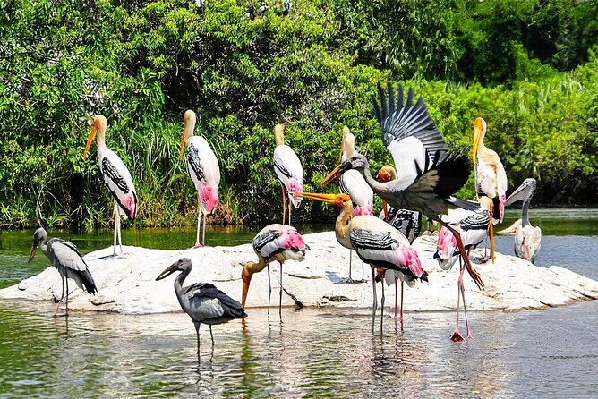 Keoladeo Birds Park Tour From Agra To Jaipur Including Entry - Itinerary Breakdown: What to Expect