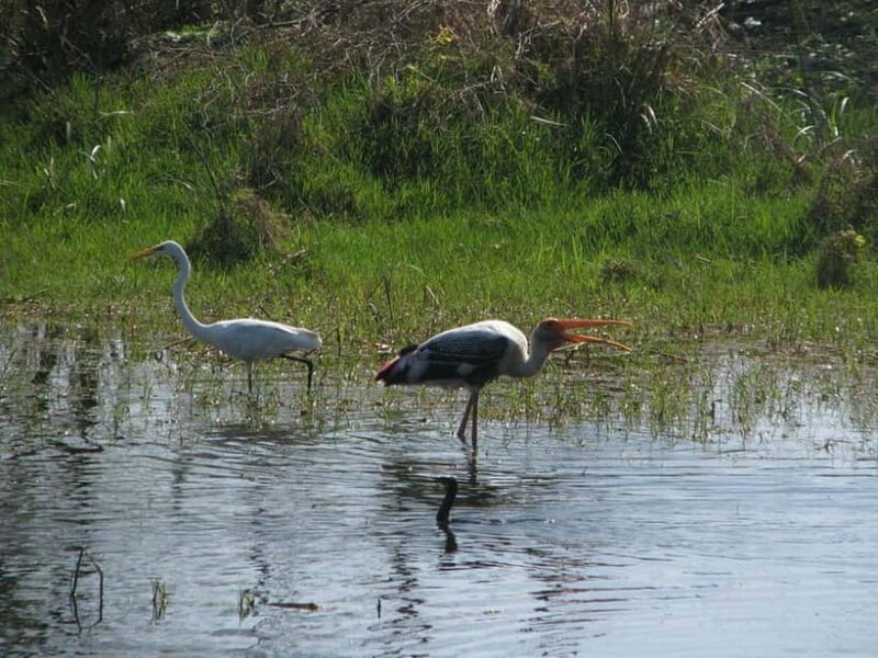 Keoladeo National Park Tickets and Guided Tour - FAQ