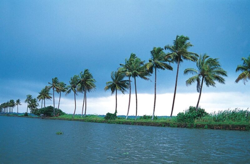 Kerala: Alappuzha River Cruise with Village Walk - Key Points