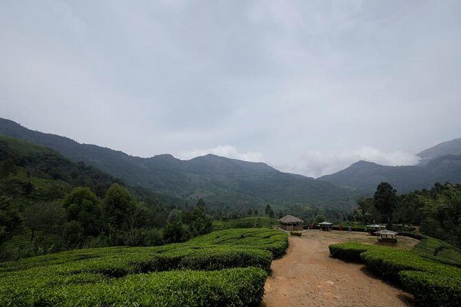 Kerala Backwater and Beach - What Reviewers Say