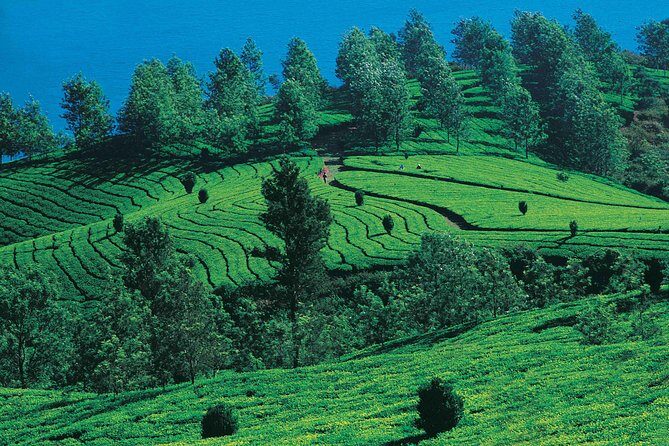 Kerala Backwater and Beach - Who This Tour Is Best For