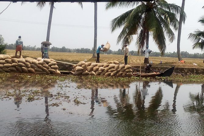 Kerala Backwater Cruise in Exclusive Water Taxi Explores Narrows - The Experience Details