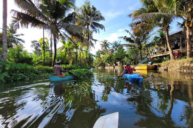 Kerala Backwater Village Kayaking Tour: Alleppey - Final Thoughts