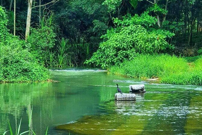 Kerala Fame and Fables: Two Weeks Tour - Why Consider This Tour?