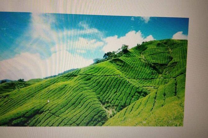 Kerala Honeymoon Package - Key Points