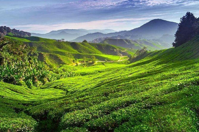 Kerala Honeymoon Special Package with Private Houseboat - An In-Depth Look at the Kerala Honeymoon Experience