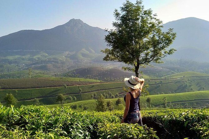 Kerala Honeymoon Special Package with Private Houseboat - Final Thoughts