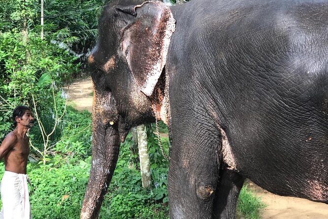 Kerala Private Tour Package - Who Will Love This Tour?