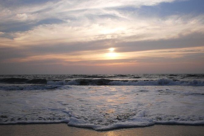 Kerala Sea Food Trail: An Excursion To Cherai Beach - Overview of the Kerala Sea Food Trail