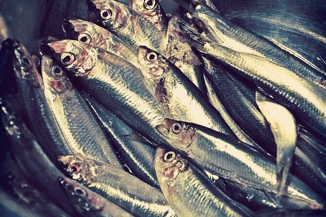 Kerala Sea Food Trail: An Excursion To Cherai Beach - Final Thoughts: Is This Tour Worth It?