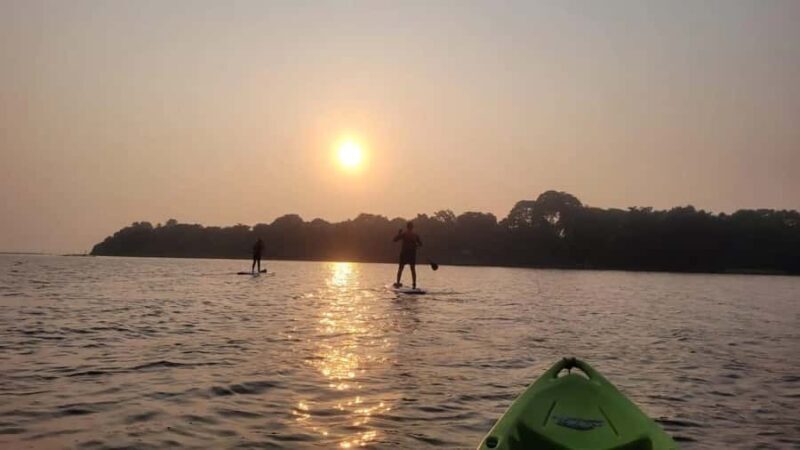Kerala: SUP or Kayak to Bird's Island with Nature Walk - A Balanced Perspective: The Good and the Not-So-Good
