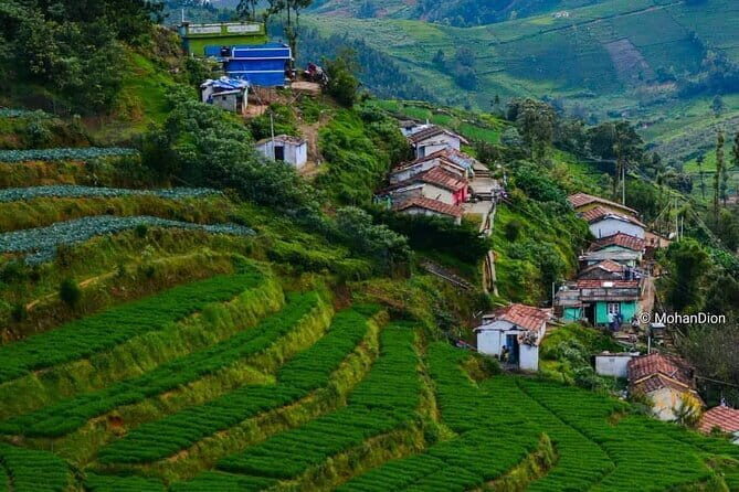 Kerala Tour visit Kochi Munnar Thekkady Alleppey in One Week - Key Points