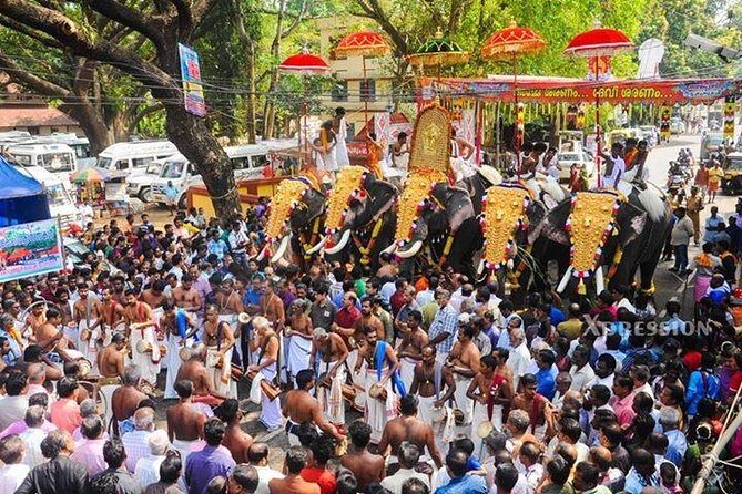 Kerala's Virgin, Prosperous Villages 1 Day Tour Free Pick up&Drop - Introduction