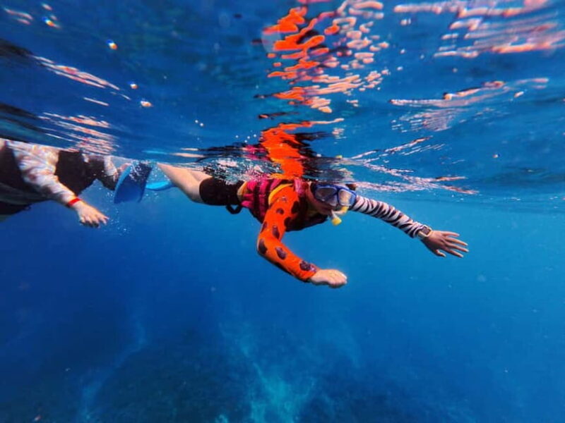 Kerama Half-Day Snorkeling Tour - Practical Details & Tips