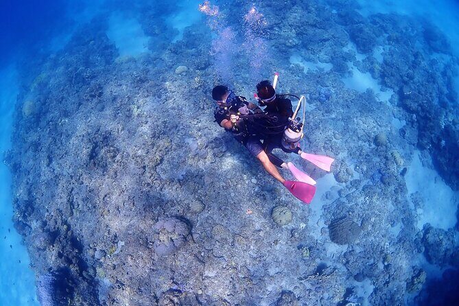 Kerama Snorkeling Tour from Chatan or Naha - Key Points