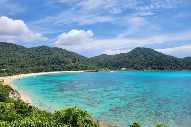 Kerama Tokashiki Island and Whale Watching Tour - Who Will Love This Tour?