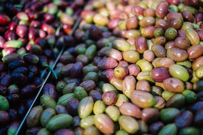 Keramikos Food Tour in Athens - Who Should Consider This Tour?