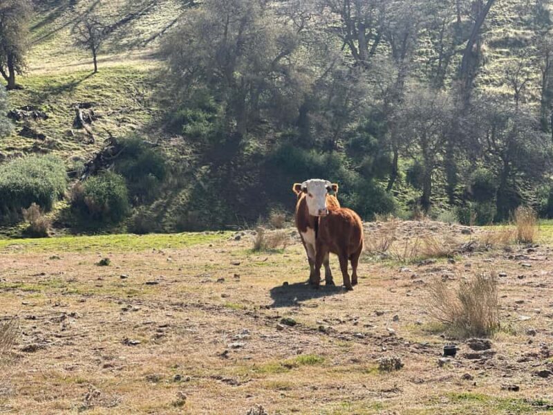 Kern County: Gold Panning Experience - Final Thoughts